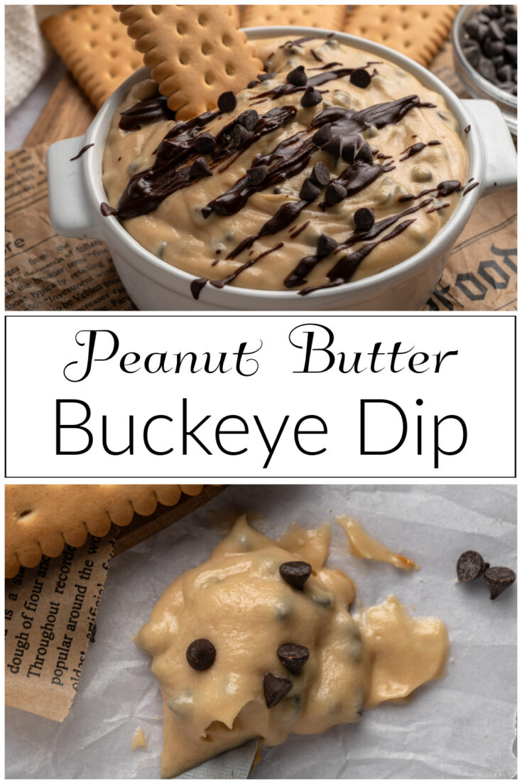 Peanut Butter Buckeye Dip - A Great Cold Party Appetizer!