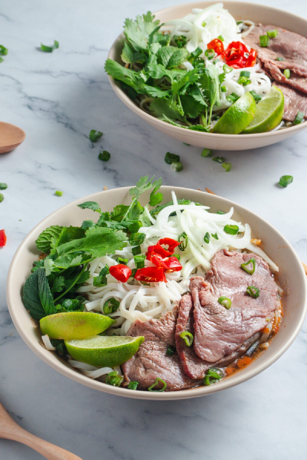 Quick Beef Pho Recipe - My Suburban Kitchen